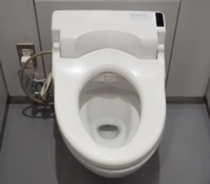 Types of Toilets: Styles, Flush & Features - Civil Engineer Mag