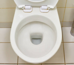 Types of Toilets: Styles, Flush & Features - Civil Engineer Mag